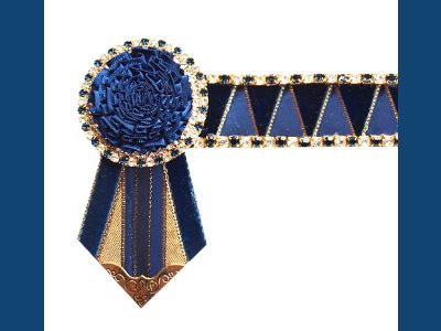 Navy Browbands – Finishing Touch Browbands
